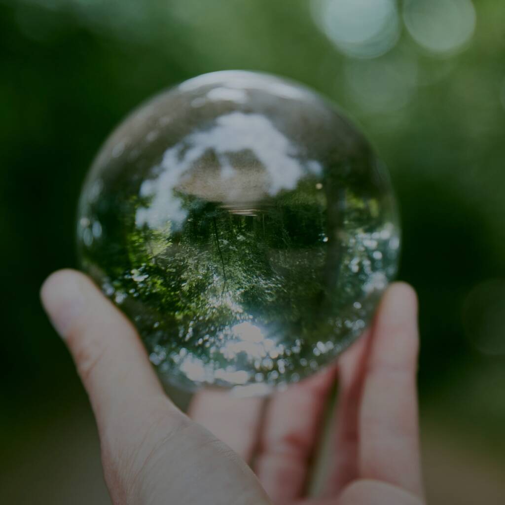 Grow a Greener Tomorrow - ProspecTree